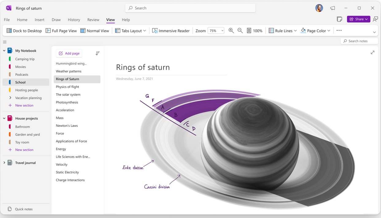 New Layout Options for OneNote on Windows are coming soon
