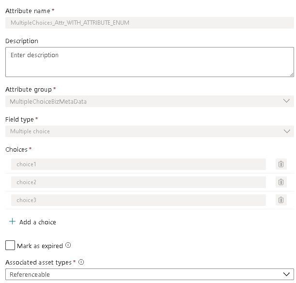 Create custom attributes that uses multiple choices in Microsoft ...