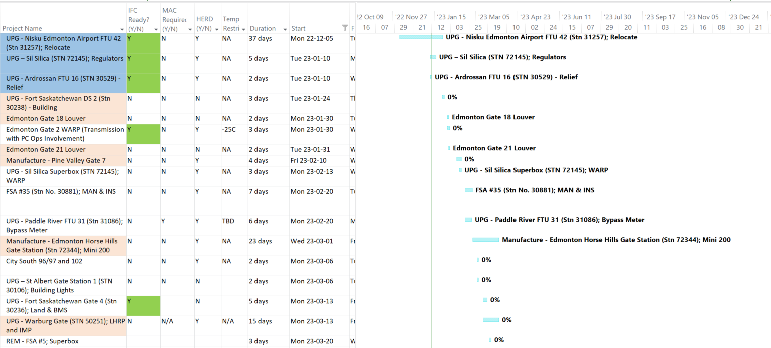 Gantt Chart View does not show all the project names next to the Gantt Chart bars | Microsoft ...