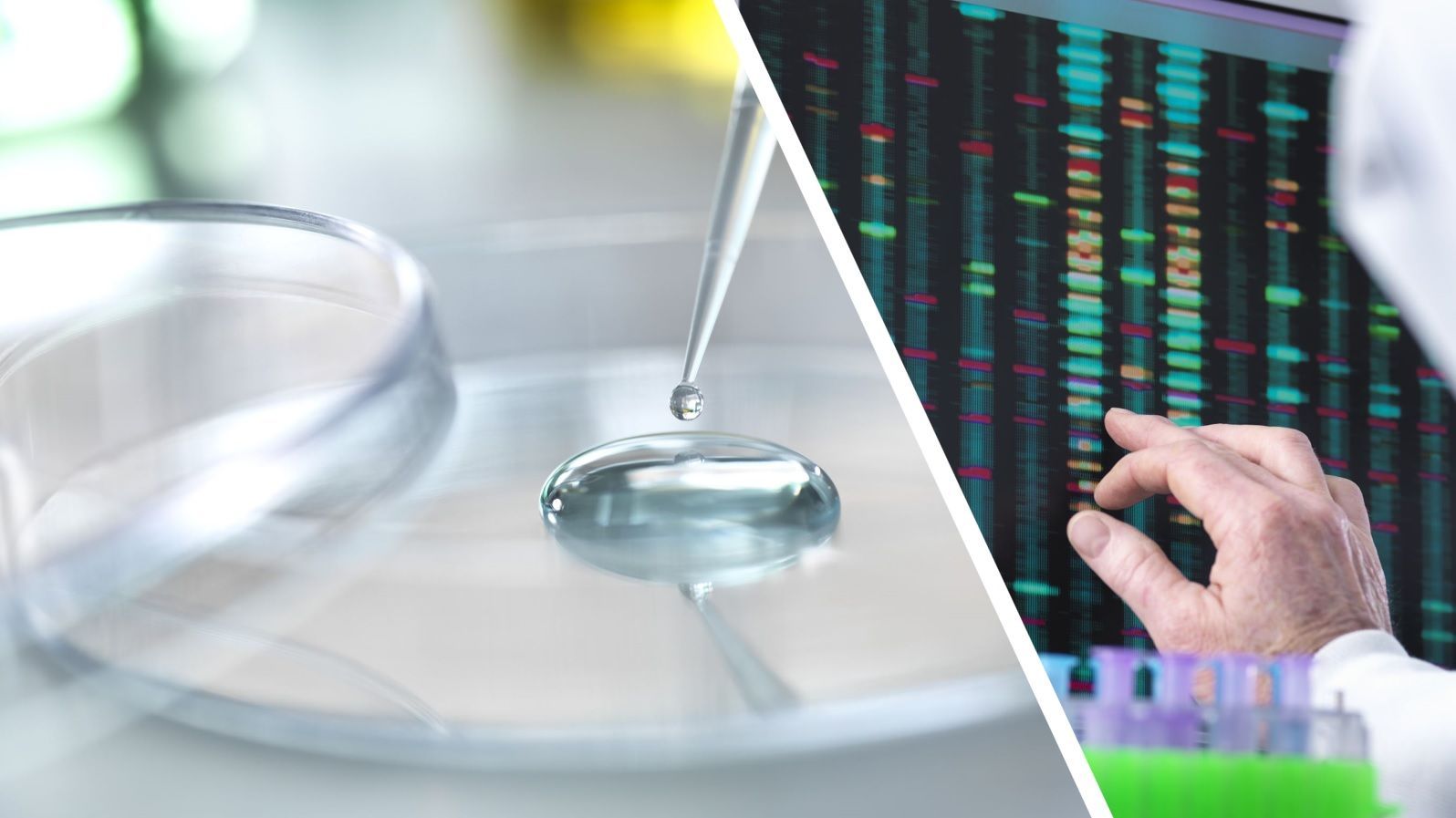 Genomic Workflow Managers On Microsoft Azure Microsoft Community Hub