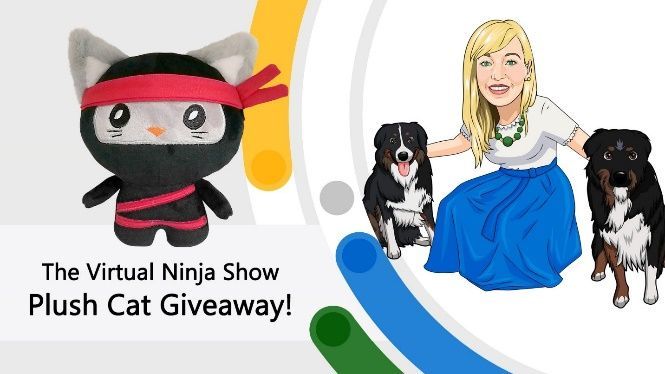Welcome to the Virtual Ninja Show’s Ninja Cat giveaway! | Microsoft ...