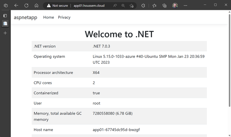 Kubernetes External DNS for Azure DNS & AKS | Microsoft Community Hub