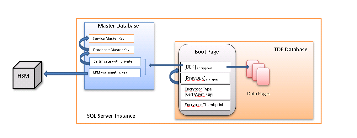 Database Encryption Key (DEK) management | Microsoft Community Hub