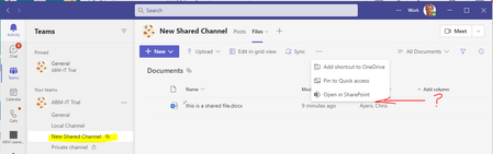 Microsoft Teams: specifications and possibilities of the shared channels