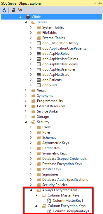Developing Databases using Always Encrypted with SQL Server Data Tools ...