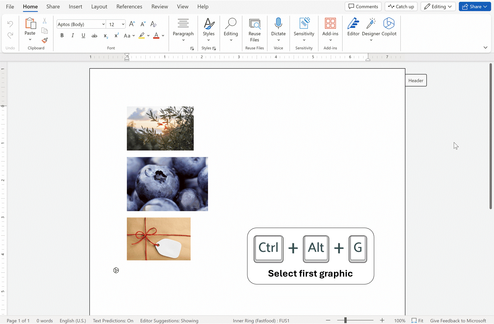 Navigate between graphics using only your keyboard in Word for the web ...