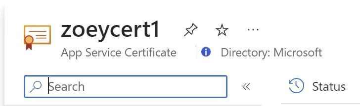 Step By Step Guide Setting Up Custom Domain For Azure Storage Account With Only Enabled
