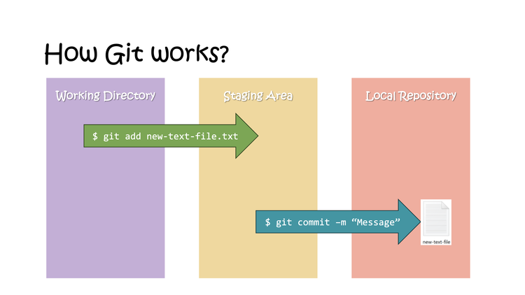Introduction to Git, GitHub, and Version Control workshop-o-matic Library