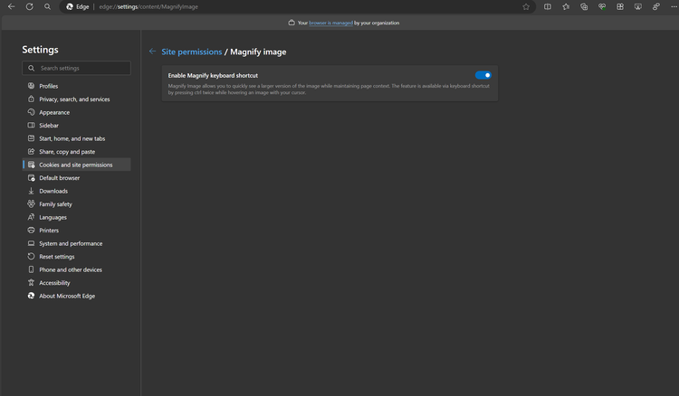 Microsoft Edge has got a new feature to magnify images on the web ...